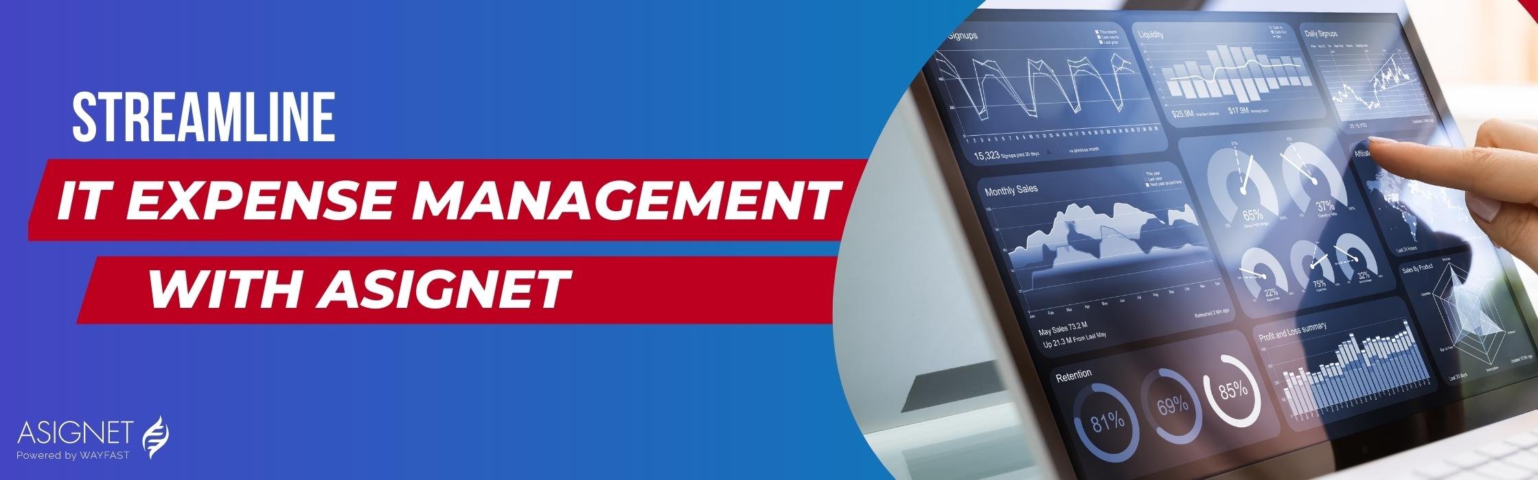 How Asignet's Solution Helps Streamline IT Expense Management